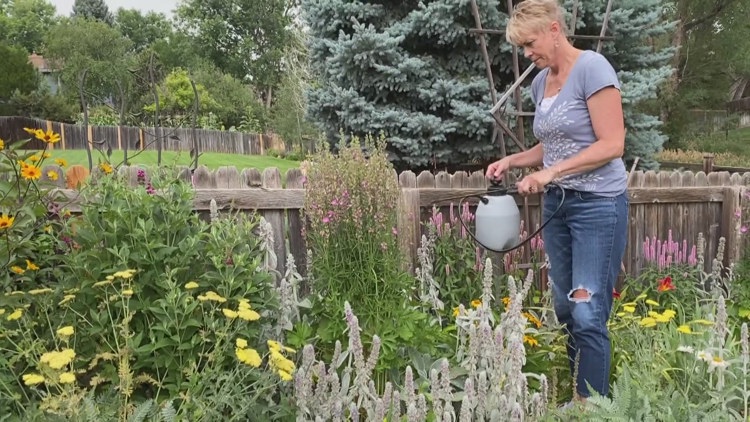 Proctor's Garden | Features | 9NEWS.com | 9news.com