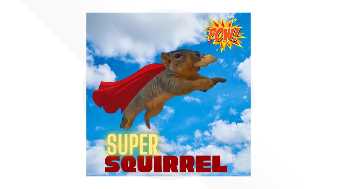 Nextdoor freaks out over 'super squirrel' caught on Ring camera | 9news.com