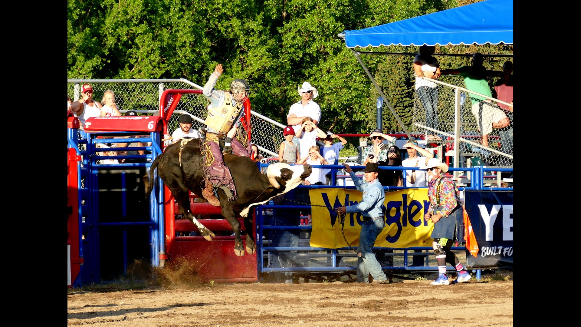 PHOTOS | Steamboat Springs Rodeo & Mustang Roundup | 9news.com