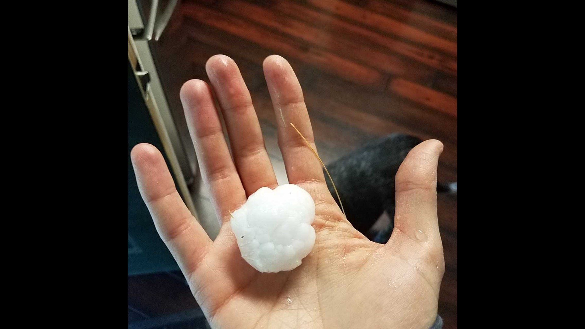 From measuring hail to repairing hail damage, this is your Colorado ...