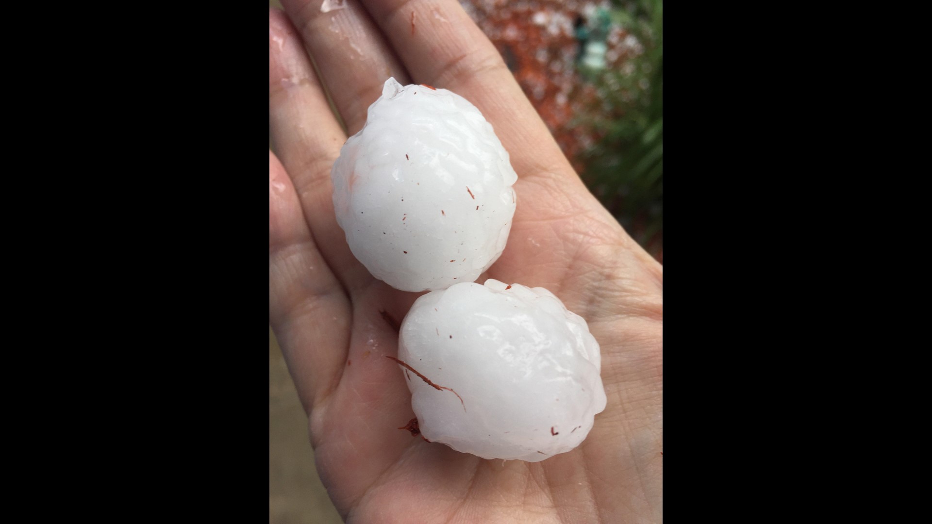 PHOTOS | Large hail pounds parts of Colorado | 9news.com