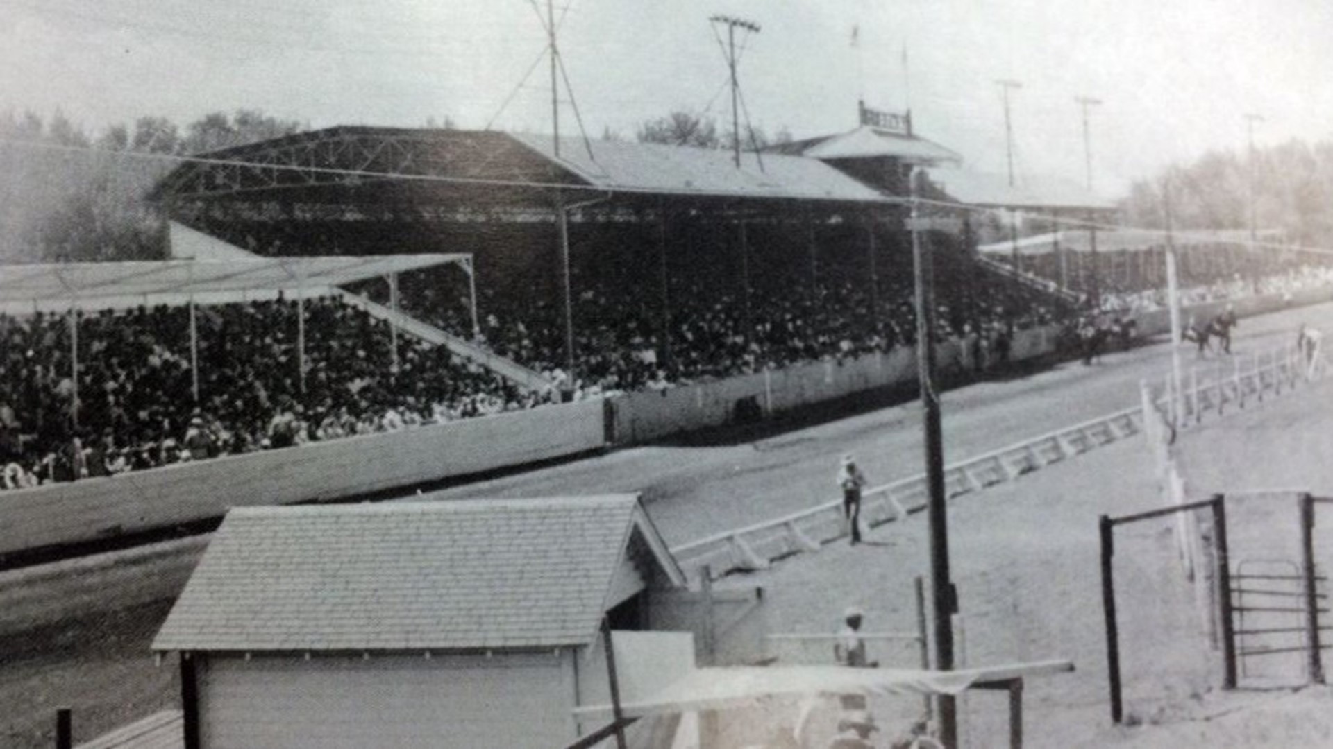 Greeley Stampede over the years | 9news.com