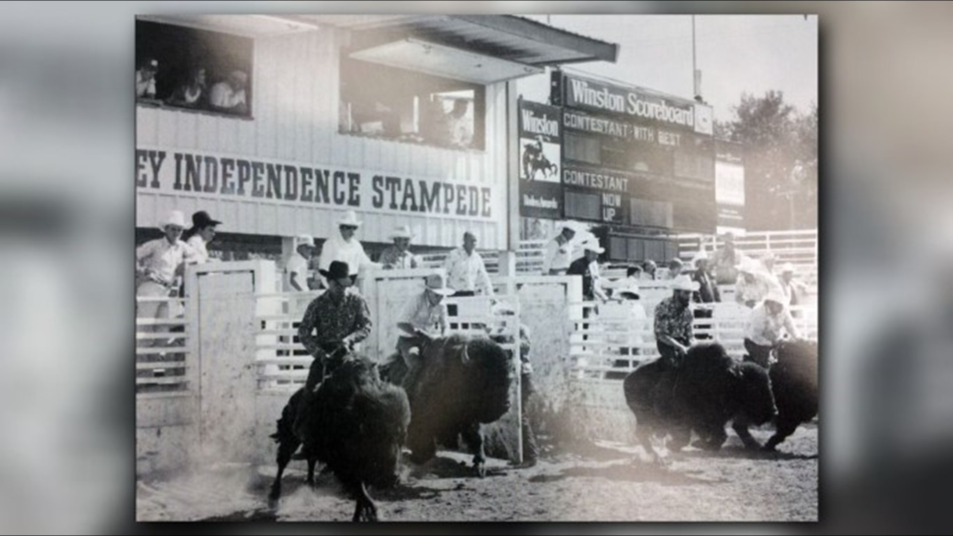 Greeley Stampede over the years | 9news.com