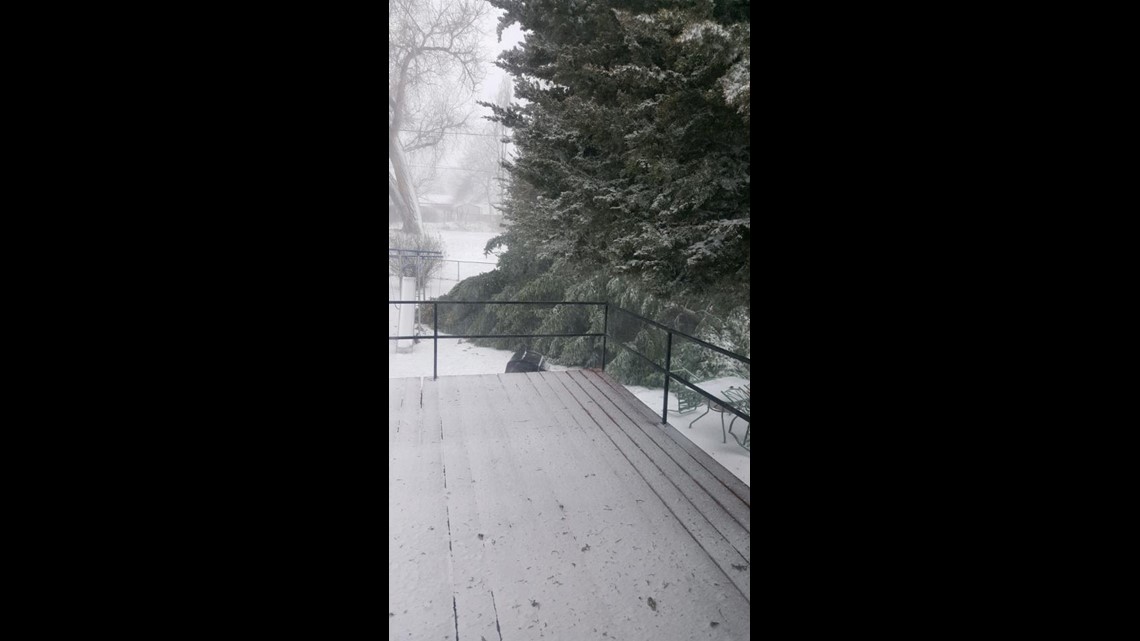 Bomb Cyclone: Colorado's 2019 weather event was the strongest ever ...