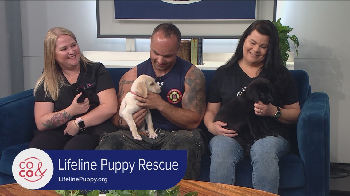Lifeline Puppy Rescue and Fire Rescue Dogs Calendar | 9news.com
