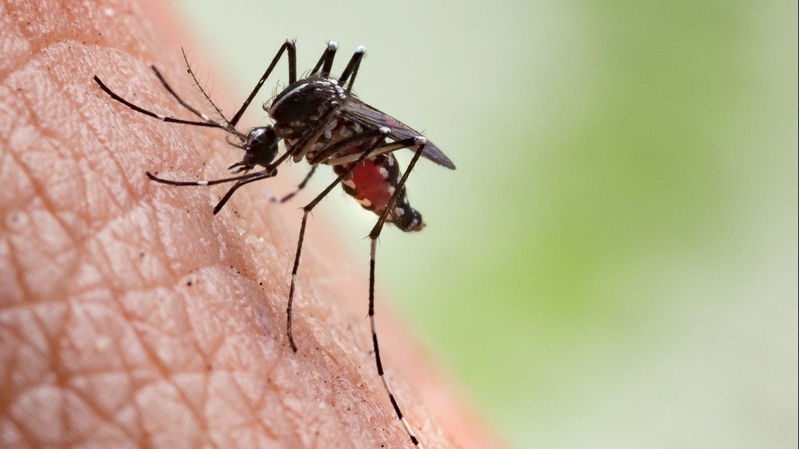 Denver, Jeffco confirms first West Nile virus cases in 2025 | 9news.com