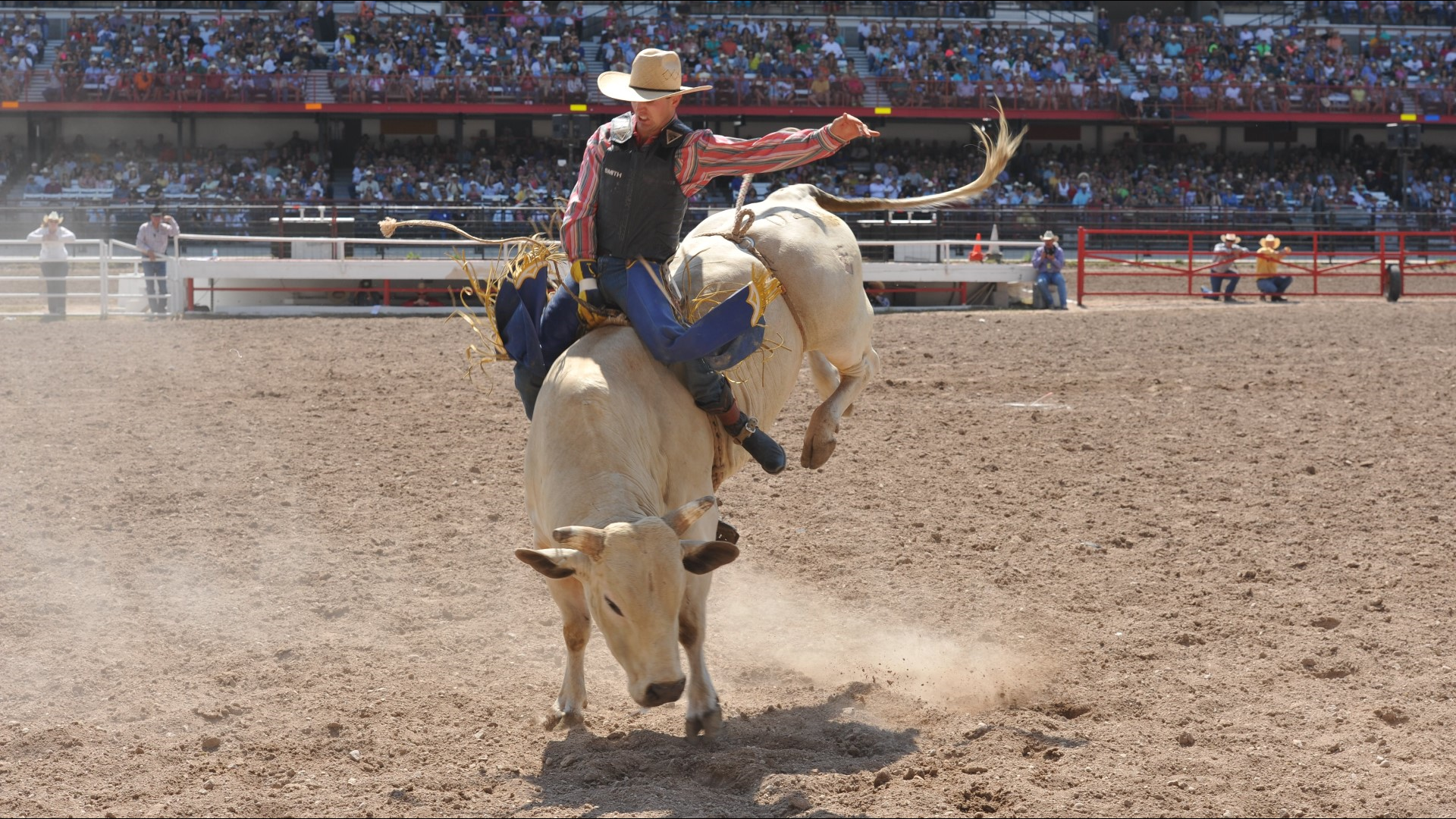 Cheyenne Frontier Days announces 2026 concert lineup | 9news.com