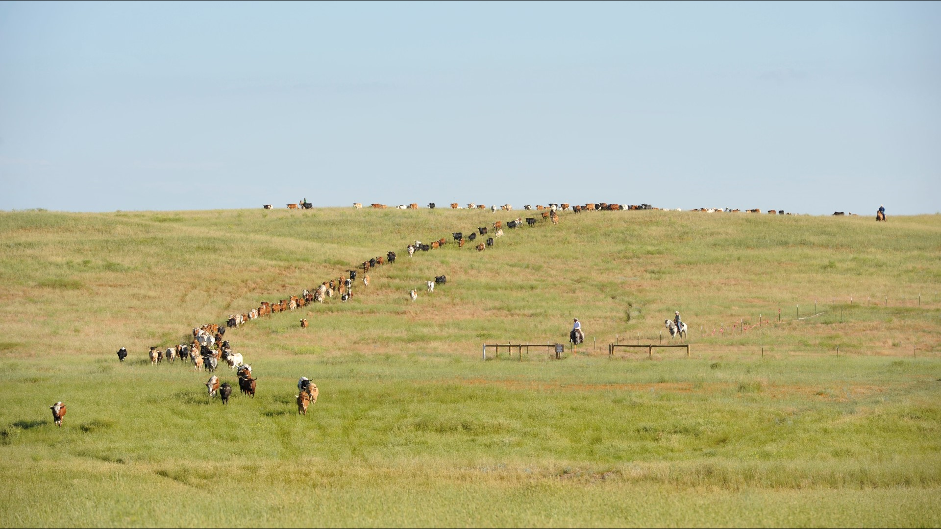 Cheyenne Frontier Days announces 2024 concert schedule lineup | 9news.com