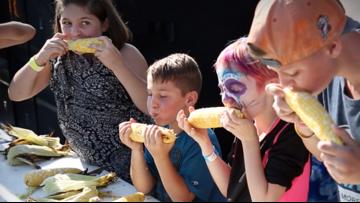 'Olathe sweet' sweet corn harvested in Colorado | 9news.com