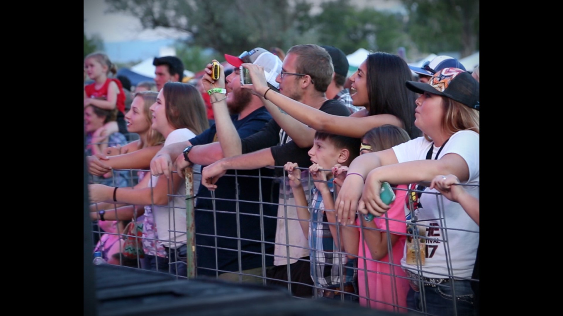 'Olathe sweet' sweet corn harvested in Colorado | 9news.com