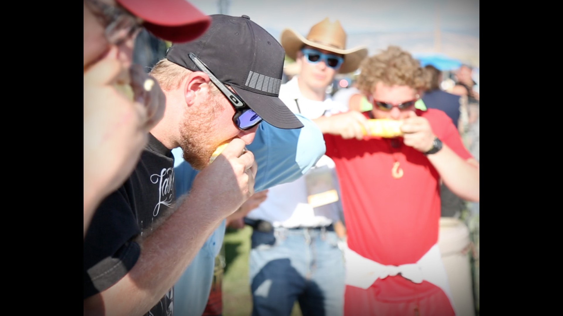 'Olathe sweet' sweet corn harvested in Colorado | 9news.com