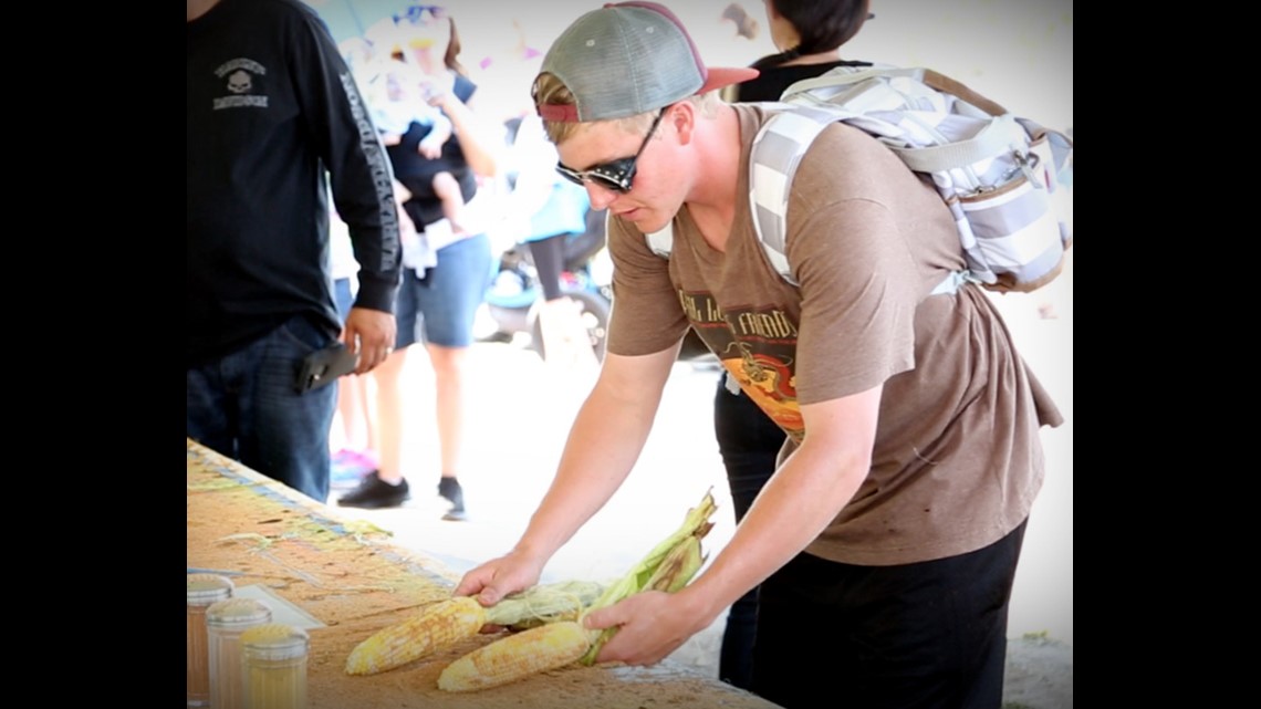 'Olathe sweet' sweet corn harvested in Colorado | 9news.com