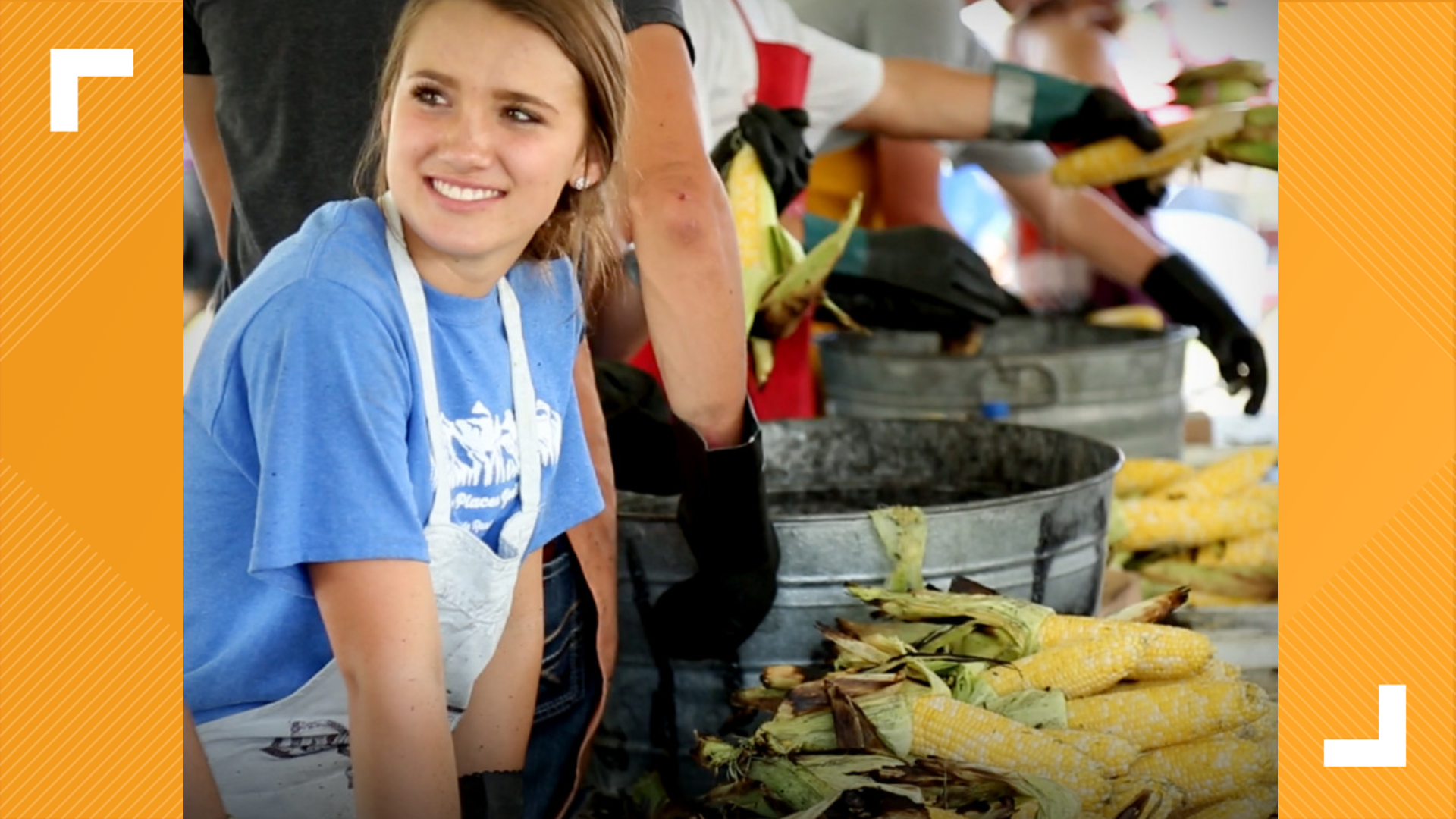 'Olathe sweet' sweet corn harvested in Colorado | 9news.com