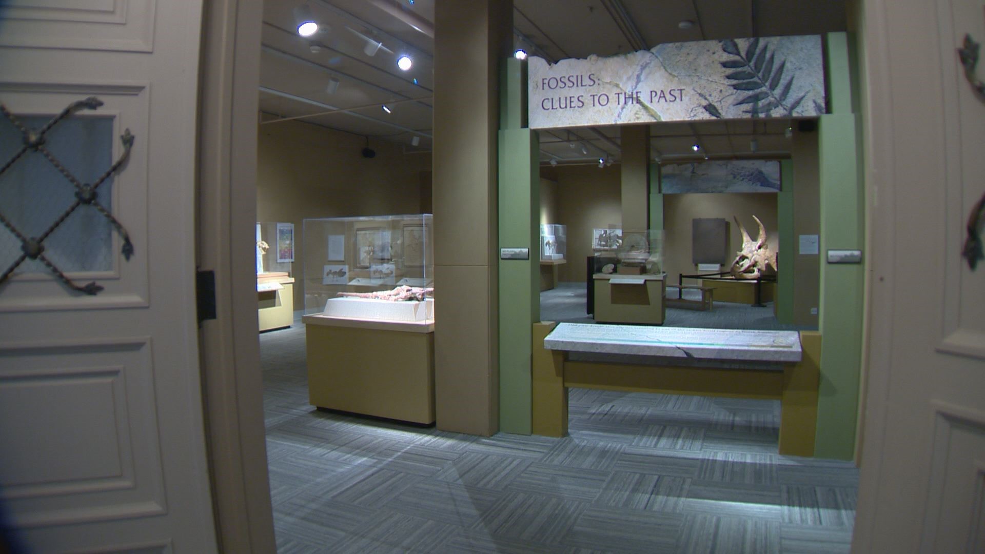 A look inside CU Boulder's Museum of Natural History, which just won ...