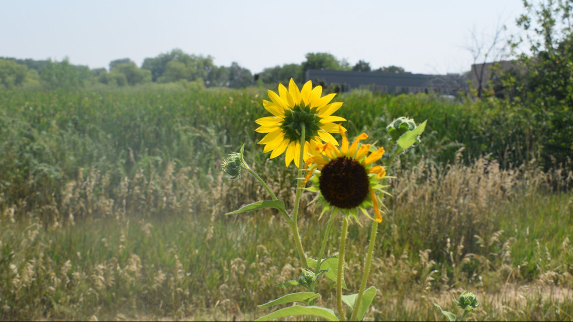 PHOTOS: Exploring Gunbarrel, Colorado | 9news.com