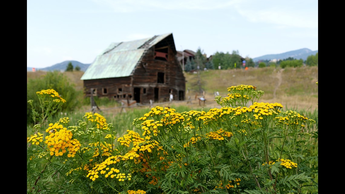 PHOTOS | Arnold Barn in Steamboat Springs | 9news.com