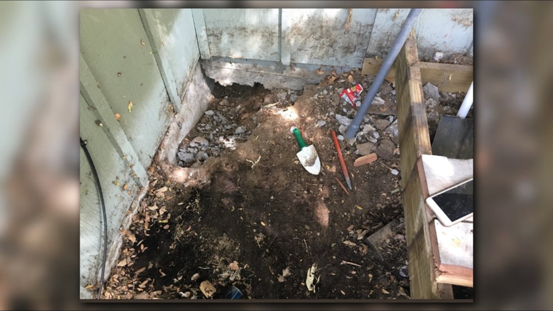 Dog trapped under house in Centennial rescued | 9news.com