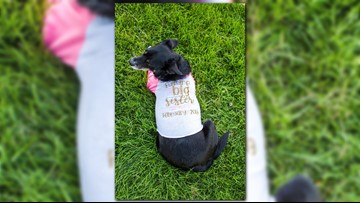 9NEWS morning anchor Corey Rose announces she's pregnant | 9news.com