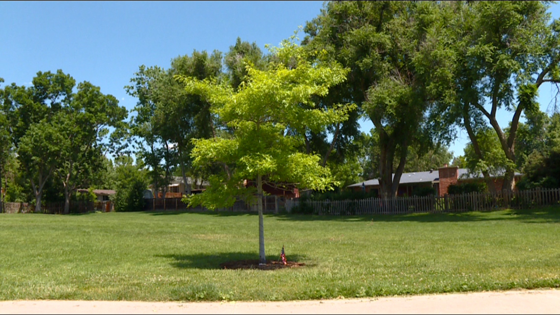 Tree planted for Arvada Officer Beesley honors his memory | 9news.com