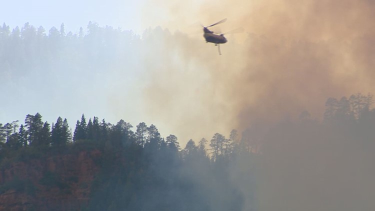 2 of Colorado's largest trees burned in summer wildfire | 9news.com