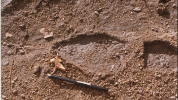 Helene Pruszynski cold case: How it was solved 40 years later | 9news.com