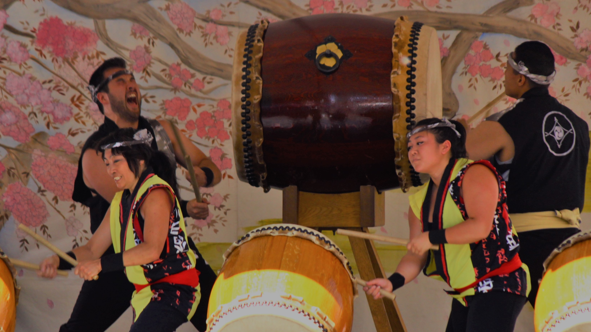 Celebrate Japanese culture at Denver Cherry Blossom Festival | 9news.com