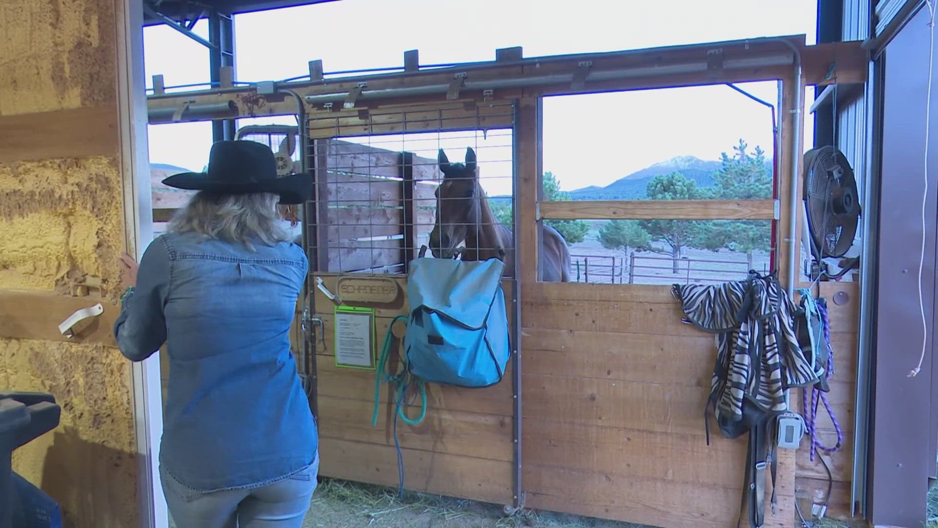 Steve Staeger | 9news.com