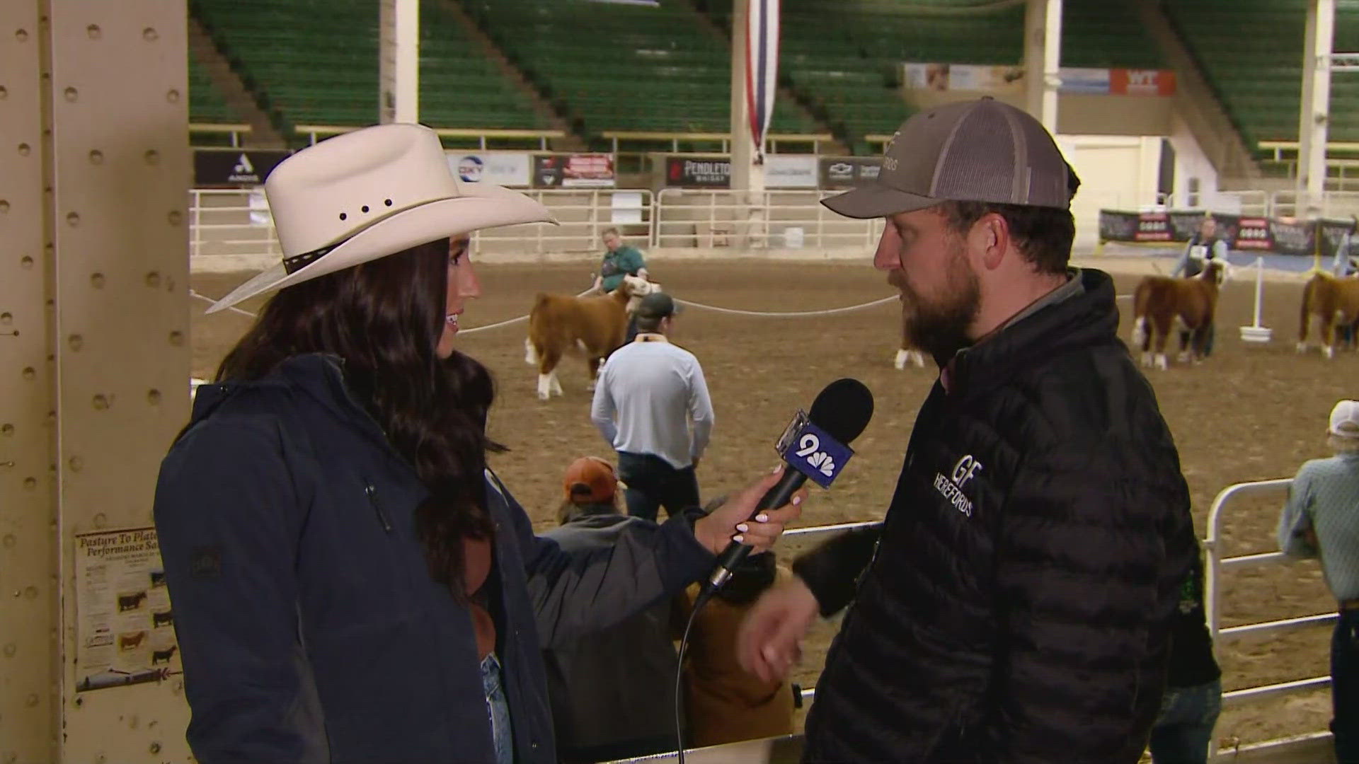 Miniature Herefords make appearance at National Western Stock Show ...