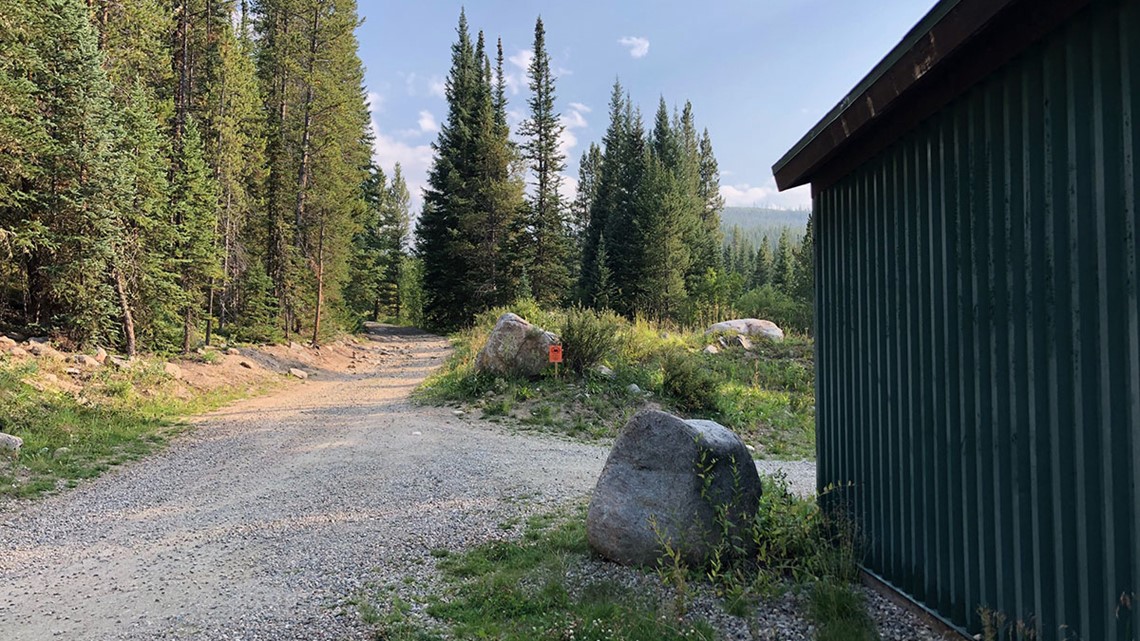 Two moose attacks in one week in Colorado mountain town | 9news.com