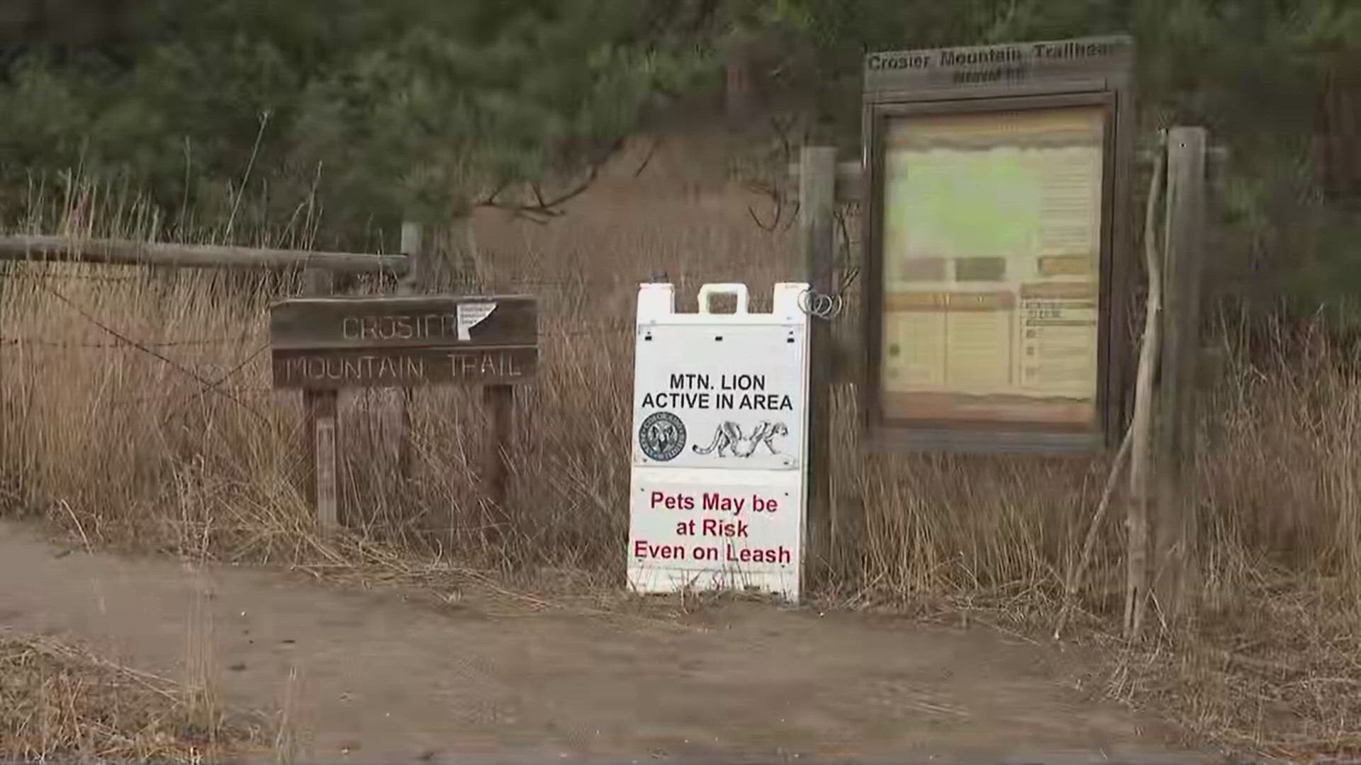 CPW says staff received threats after killing 2 mountain lions | 9news.com