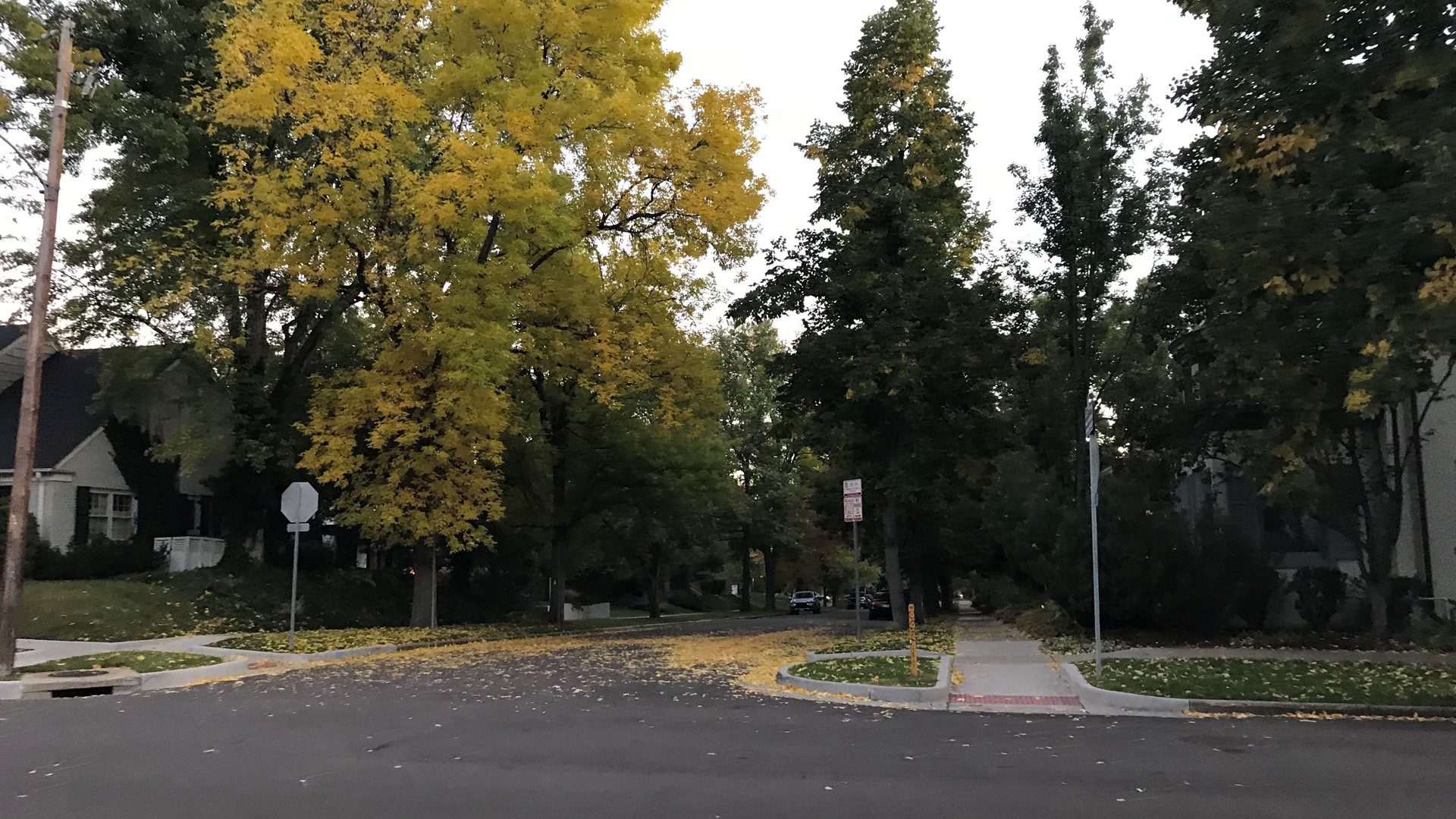 The spooky haunted history of Denver’s Cheesman Park | 9news.com