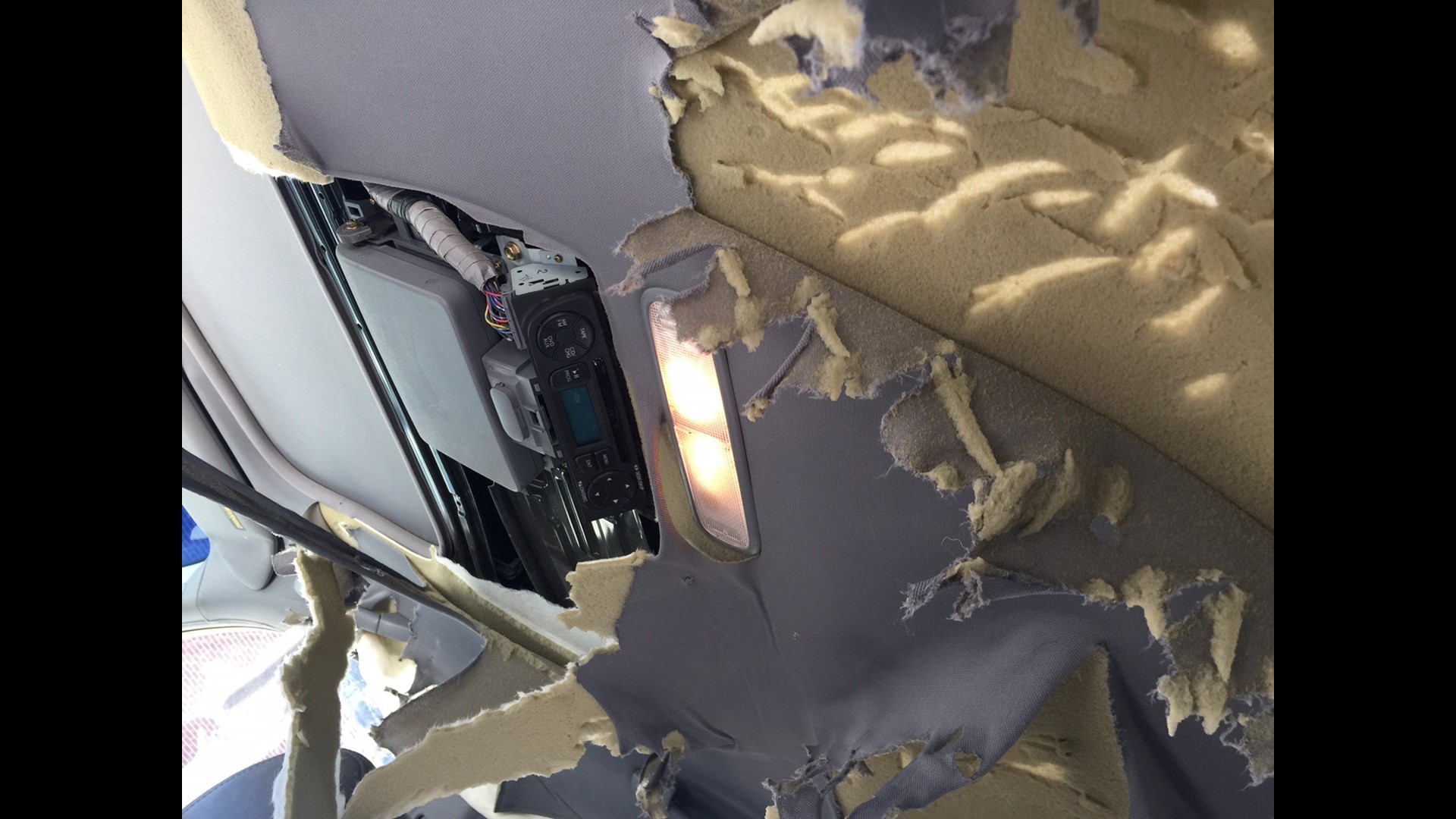 Bear gets into car in Grand County, causes more than $4,000 in damages ...