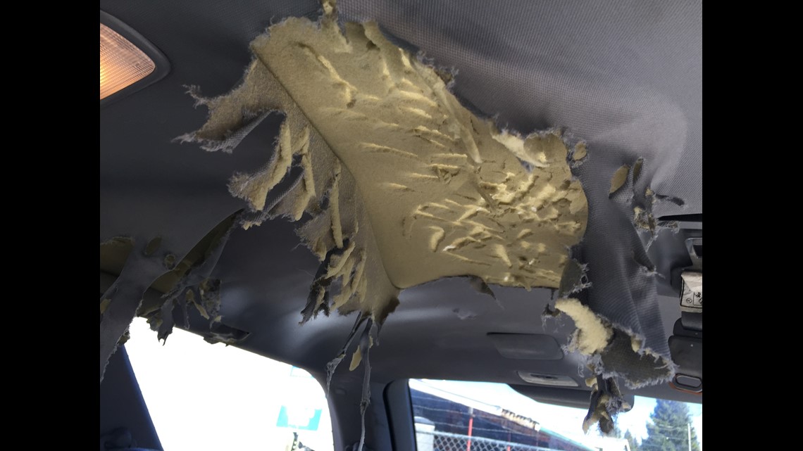 Bear gets into car in Grand County, causes more than $4,000 in damages ...