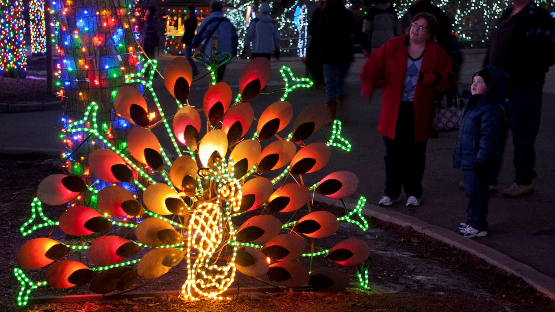Zoo Lights returns for 2024 holiday season at Denver Zoo | 9news.com