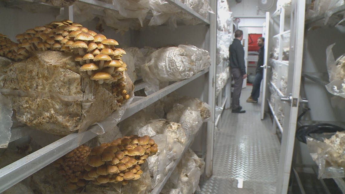 Colorado company brings farms everywhere with shipping containers ...