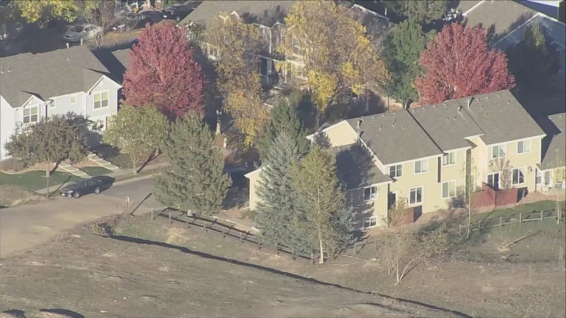 2 arrested after woman shot interrupting thieves in Fort Collins ...