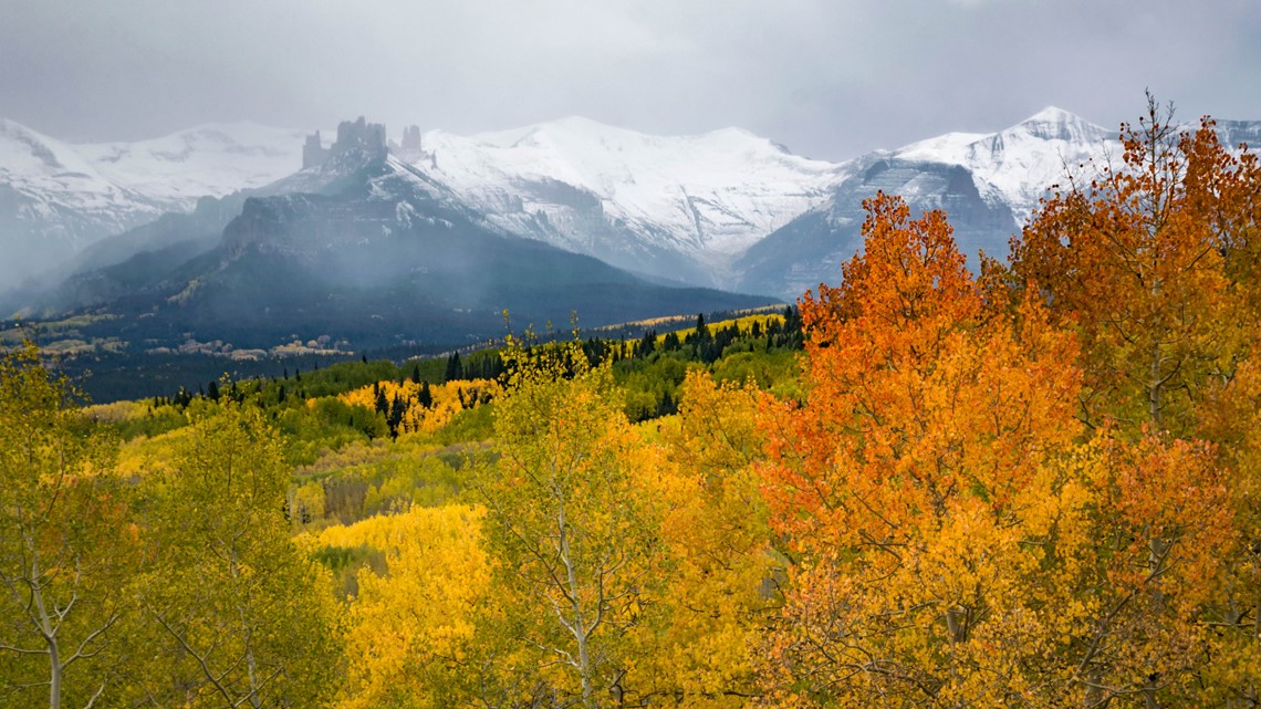 Colorado fall colors: When and where leaves will peak in 2020 | 9news.com