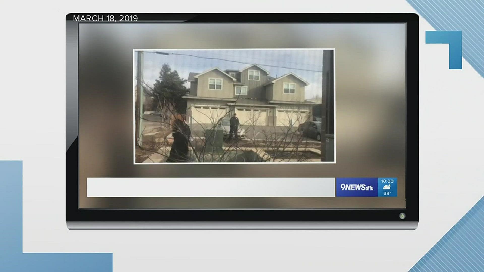 Report finds no evidence to support racial profiling in police officer ...