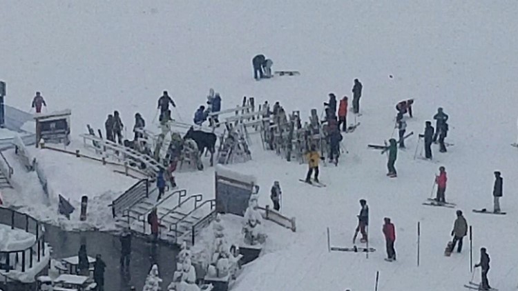 WATCH: Moose runs through skiers near Breckenridge lift line | 9news.com
