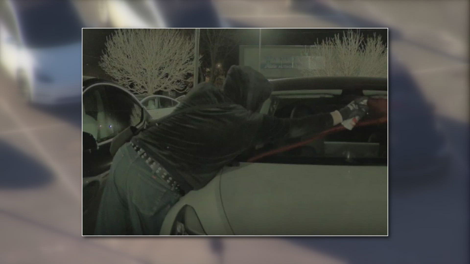 Suspect arrested in vandalism of Colorado Tesla dealership | 9news.com