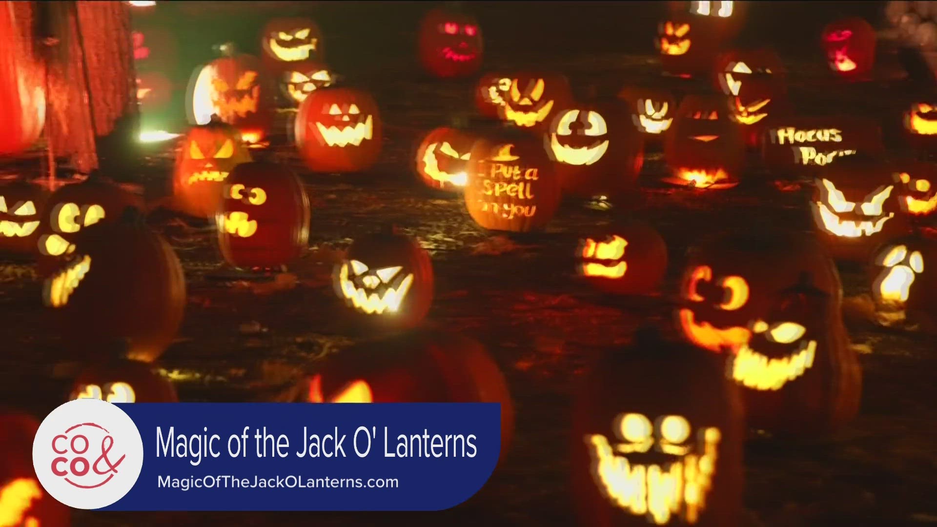 Magic of the Jack'O'Lanterns - September 21, 2023 | 9news.com