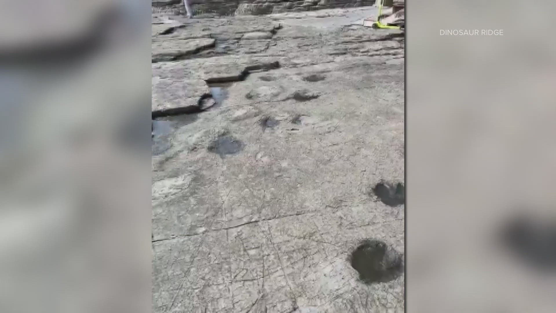 Paleontologist Dr. Martin Lockley, who cofounded Friends of Dinosaur ...