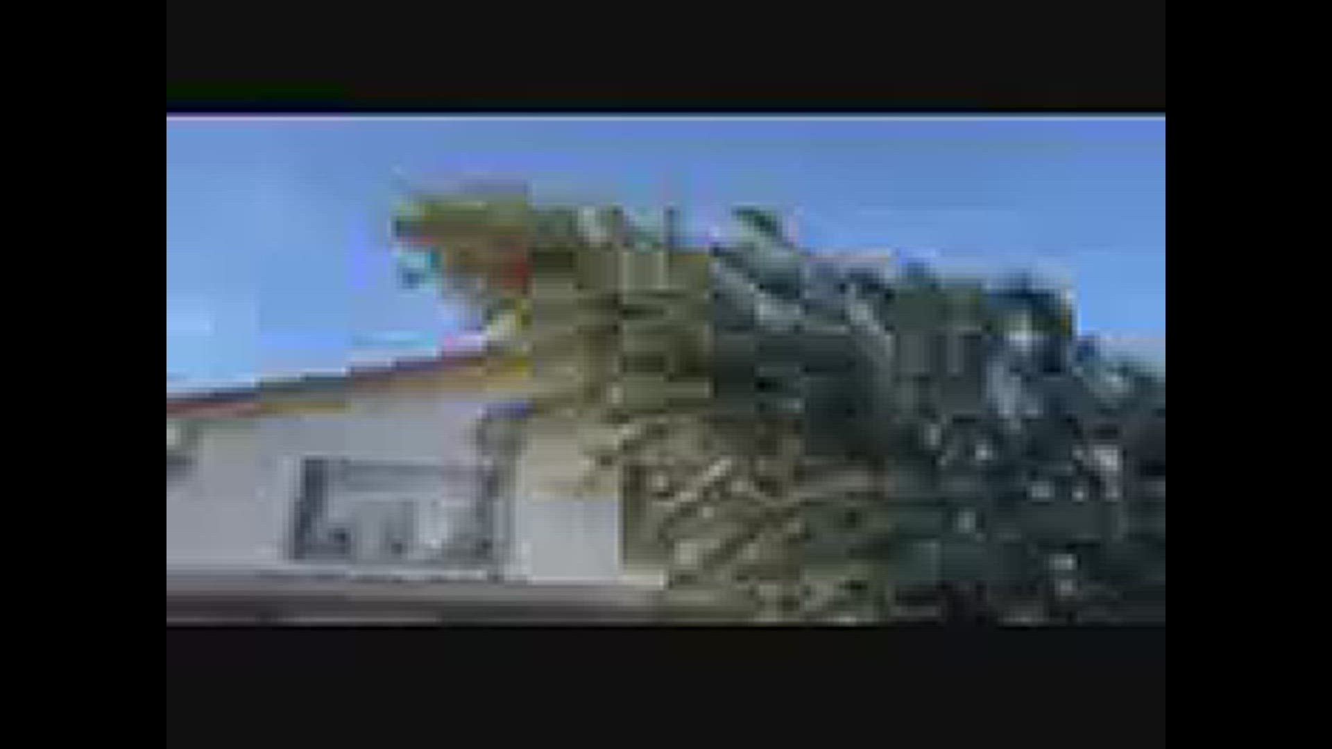 Tree down Littleton | 9news.com