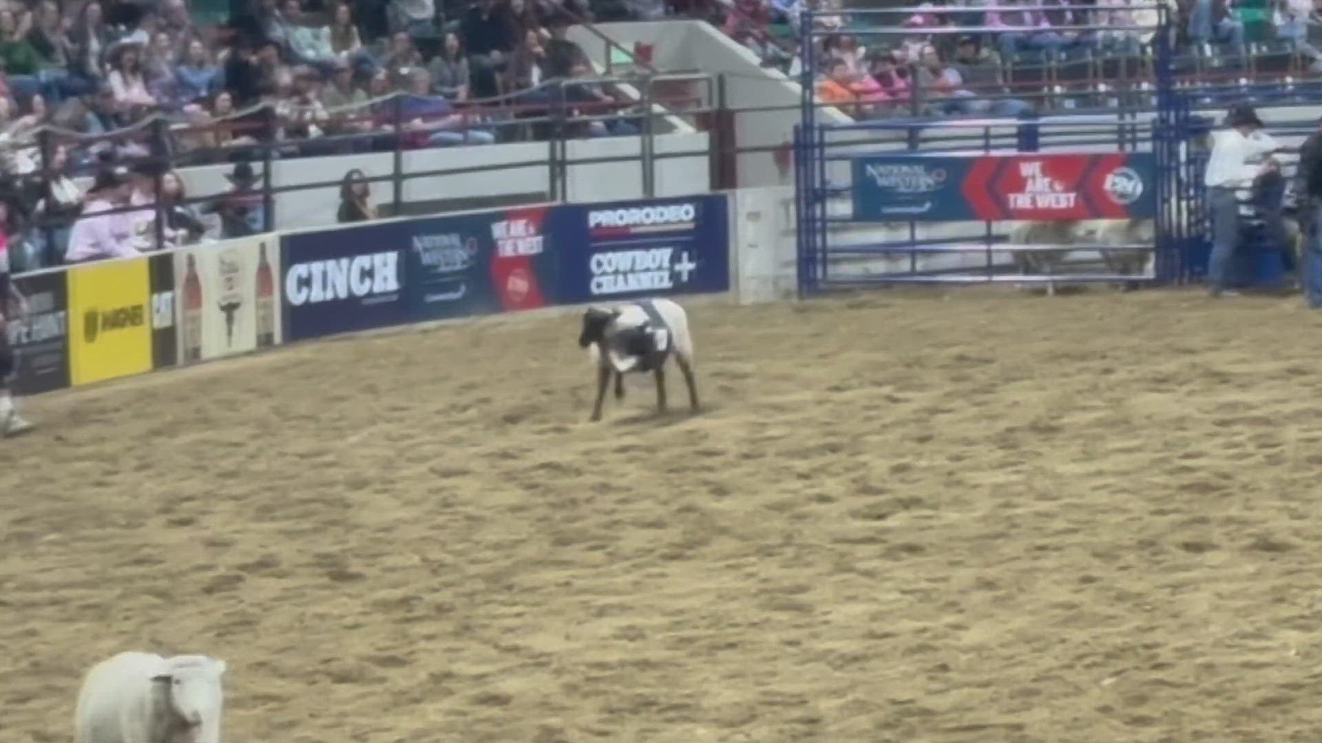 Lili Taylor, Keith McNally and Andrew Ross Sorkin are among Gotham Book ...