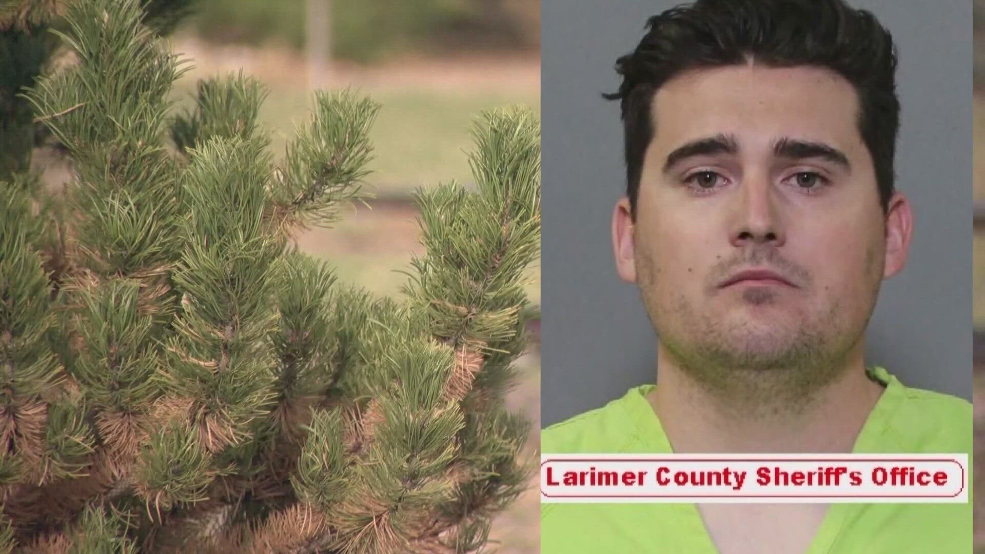 Former Loveland officer accused of on-duty sex assault faces federal ...