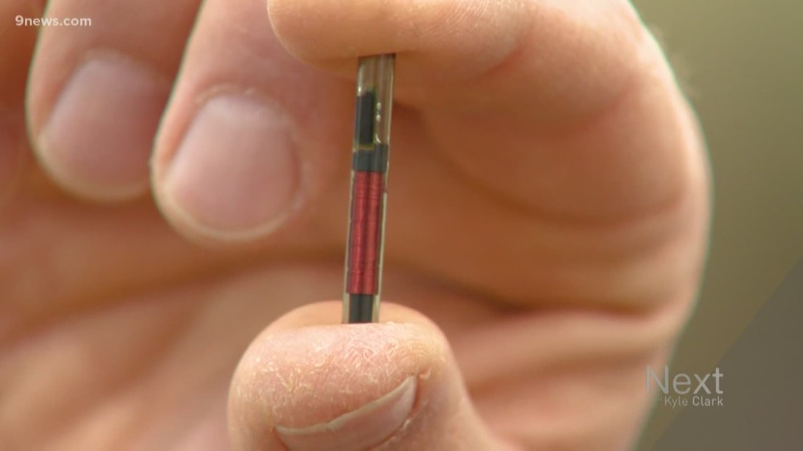 Next Question: What do you do if you catch a fish with a microchip ...