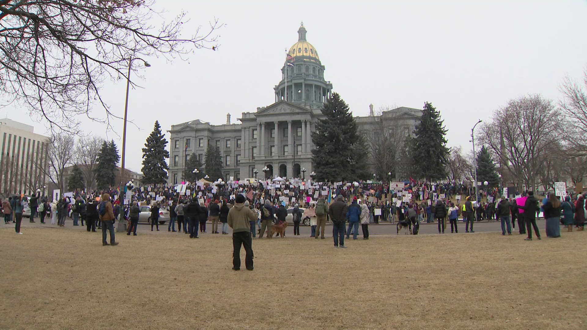 Protest against Trump, Musk policies at Colorado capitol on Presidents ...