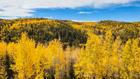 Here are the 9 best drives to see fall colors in Colorado | 9news.com