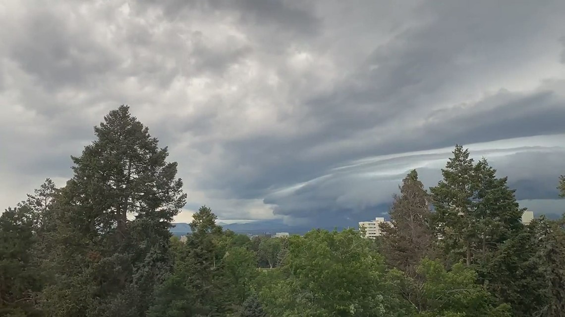 Angeline McCall: Meet the 9NEWS team | 9news.com