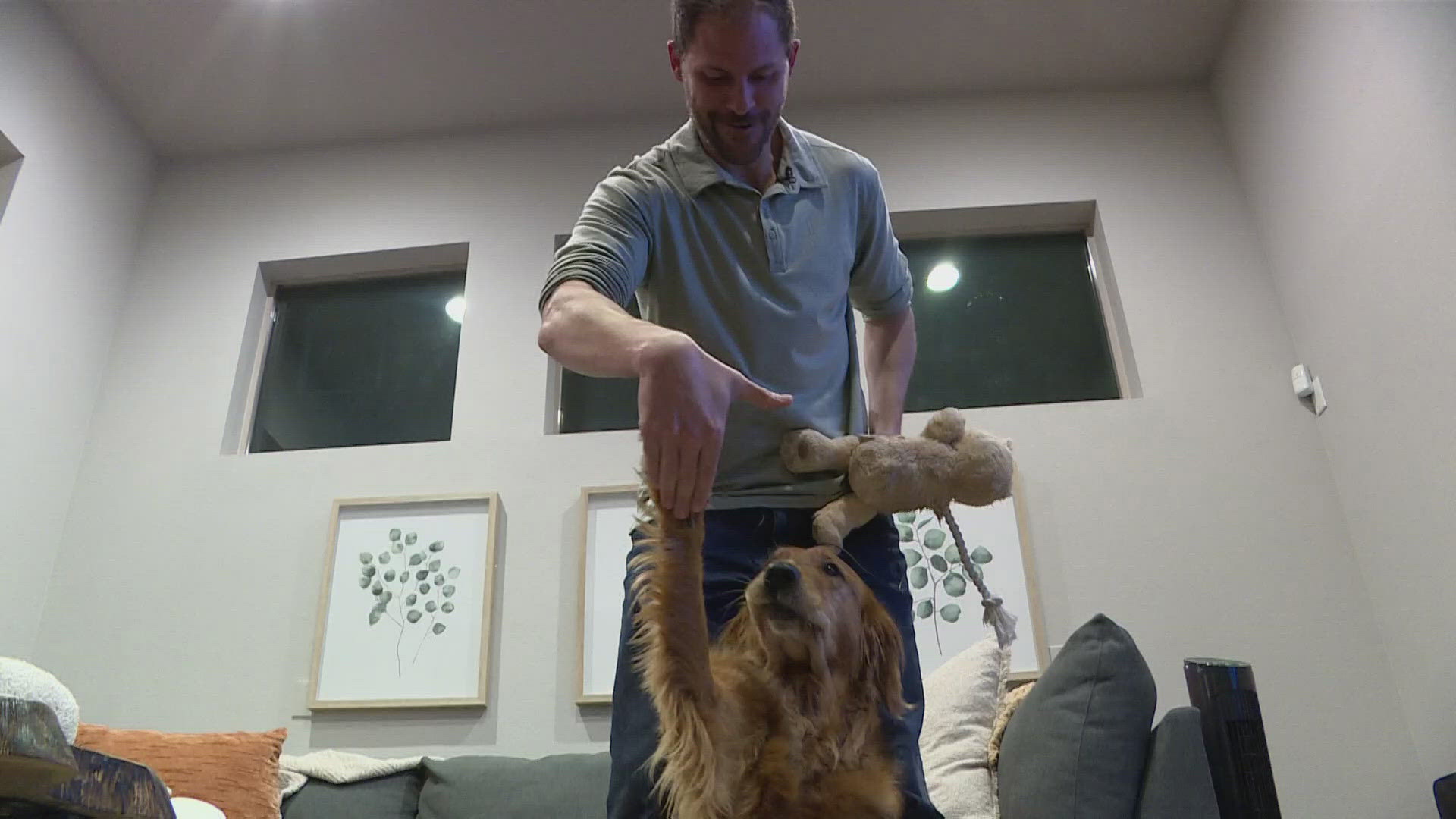 Dog climbs 47 Colorado 14ers with his owner, blazing a trail of ...